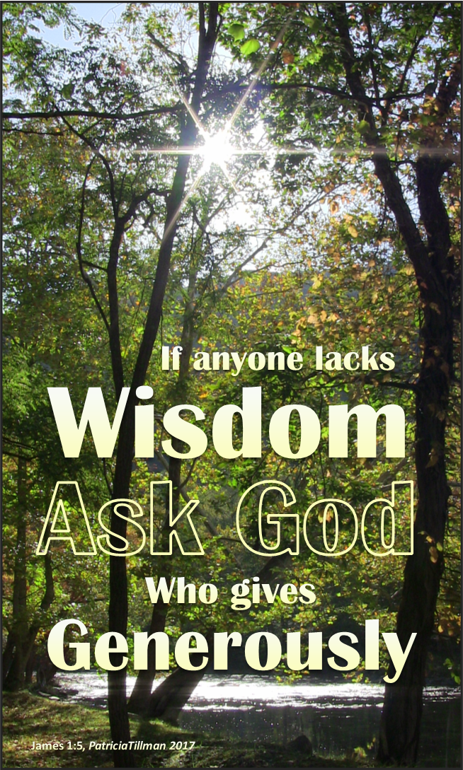 Simple Way to Wisdom, ScripPic – Pursuing Wisdom