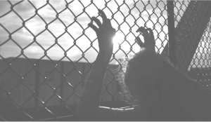 Slave Trafficking Simulation: Identifying with the Pain of Others ...